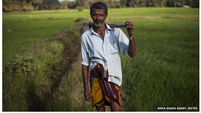 රජරට වකුගඩු රෝගයට හේතුව කෘෂි රසායනික- වෛද්‍ය පාදෙණිය. - BBC News සිංහල