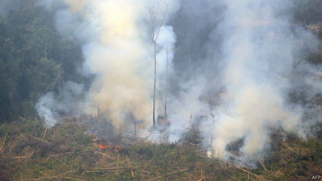 Siapa 'aktor' di balik pembakaran hutan dan lahan? - BBC News Indonesia