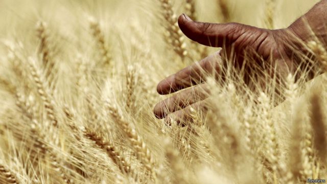 El mundo se alimenta con menos variedad de cultivos - BBC News Mundo