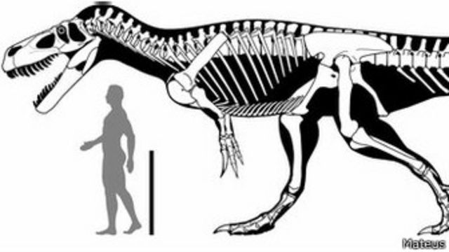 Dinosaurus terbesar di dunia ditemukan - BBC News Indonesia