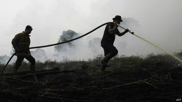 Titik api meningkat, kebakaran hutan di Riau bisa meluas - BBC News ...