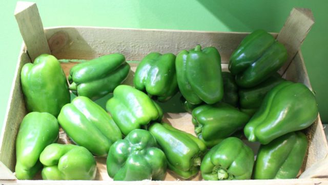 Sawirro: Bandhigga Wax-soosaarka Soomaalida - BBC News Somali