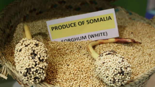 Sawirro: Bandhigga Wax-soosaarka Soomaalida - BBC News Somali