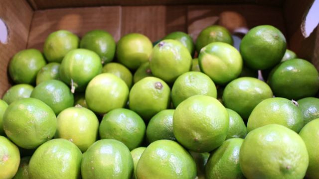 Sawirro: Bandhigga Wax-soosaarka Soomaalida - BBC News Somali