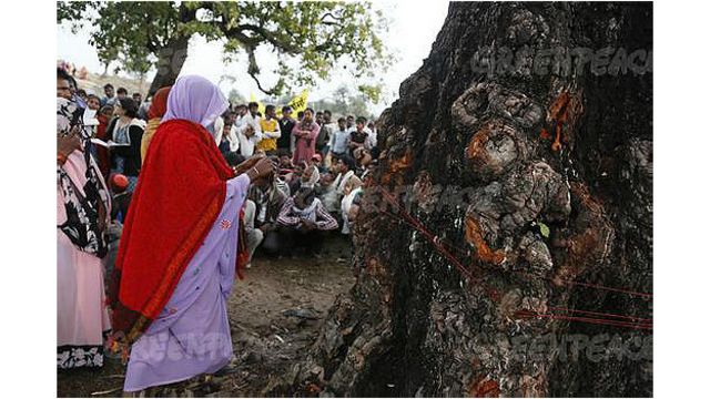 प्रतिबंध को चुनौती देंगेः ग्रीनपीस भारत - BBC News हिंदी