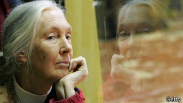 Jane Goodall, la mujer que redefinió lo que nos hace humanos - BBC News ...