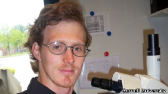 ¿Dónde duele más la picadura de una abeja? - BBC News Mundo