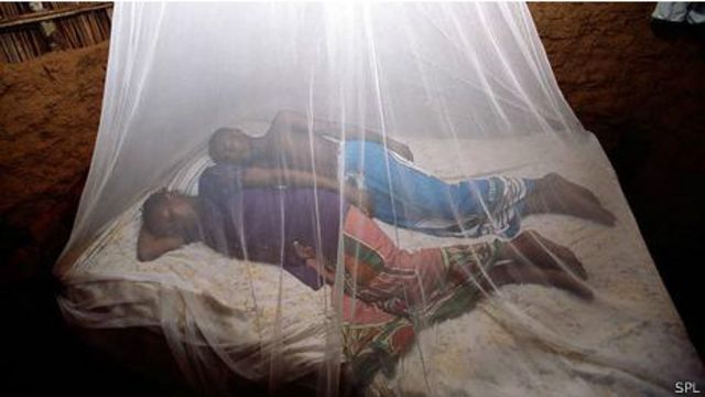 El lugar donde se libra una batalla decisiva contra la malaria - BBC ...