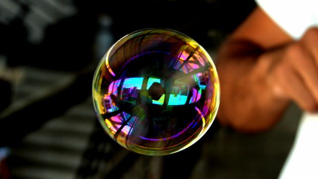 El mundo translúcido en fotos - BBC News Mundo