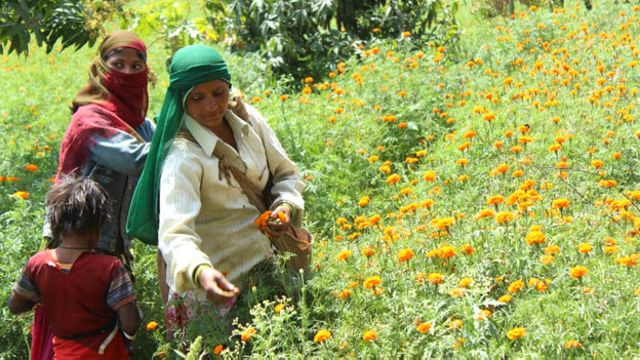 गुड़गांवः 'अब हम कहीं के नहीं हैं' - BBC News हिंदी
