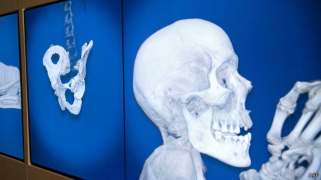 10 вещей, о которых мы не знали неделю назад - BBC News Русская служба