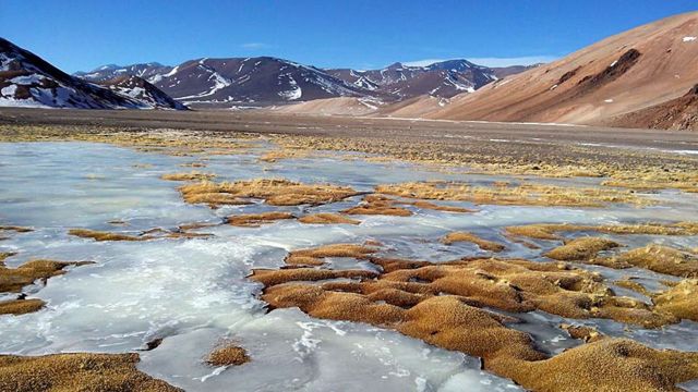 El mundo en la lente de nuestros lectores - BBC News Mundo
