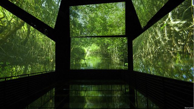 La impresionante arquitectura del primer biomuseo de América Latina ...