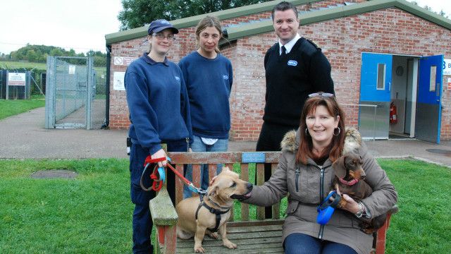 Sekitar 100.000 pengaduan kekejian terhadap binatang - BBC News Indonesia