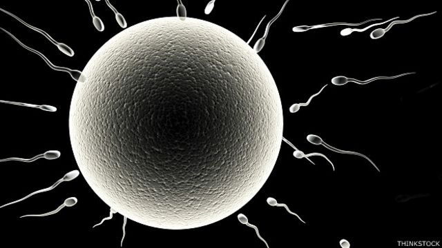 Los lugares inesperados del cuerpo que reaccionan al olor - BBC News Mundo