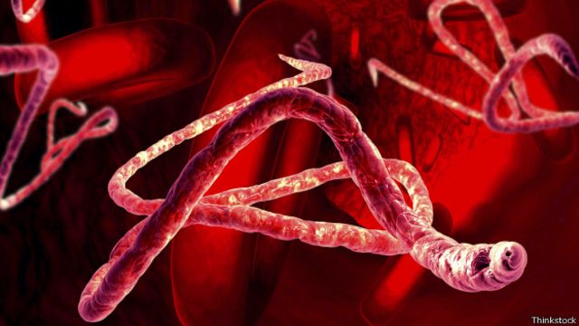Os mitos e as verdades sobre o ebola - BBC News Brasil