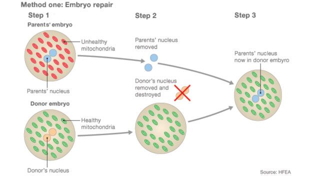 Bolehkah teknik "bayi dari tiga orang"? - BBC News Indonesia