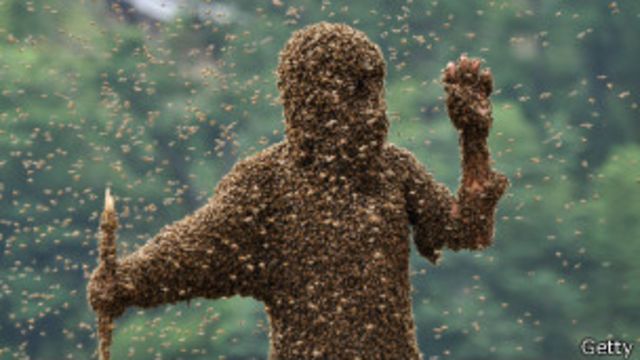 "Cómo el veneno de abeja me salvó la vida" - BBC News Mundo