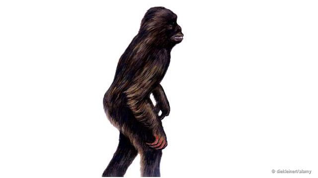 Apakah Yeti Himalaya sebenarnya binatang? - BBC News Indonesia