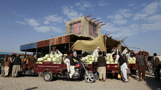 عکس: پالیزهای مزار؛ خروارهای تربوز و خربوزه - BBC News فارسی