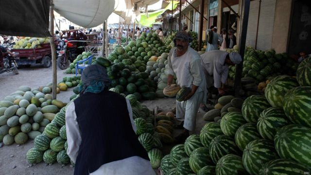 عکس: پالیزهای مزار؛ خروارهای تربوز و خربوزه - BBC News فارسی