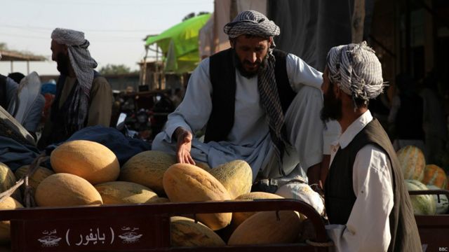 عکس: پالیزهای مزار؛ خروارهای تربوز و خربوزه - BBC News فارسی