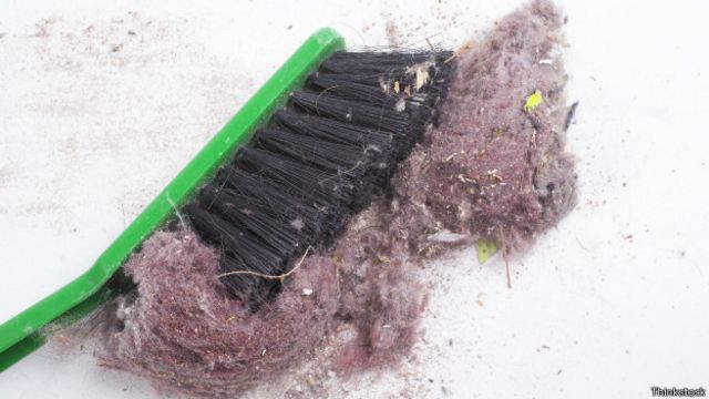 Poeira de nossas casas tem mais de 9 mil tipos de micróbios, indica ...