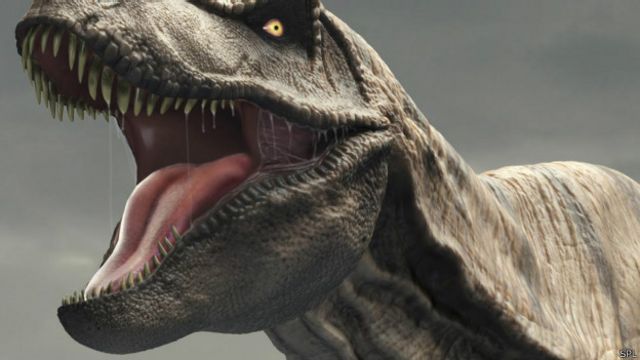 雷克斯霸王龍 兇殘之外也懂幽默？ - BBC 英伦网