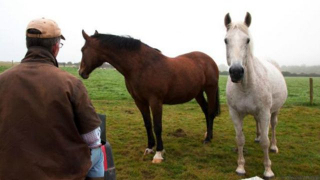 圖輯：尋訪愛爾蘭最古老的秘密 - BBC 英伦网