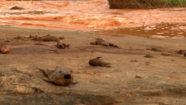 Como estão as investigações do desastre de Mariana? - BBC News Brasil