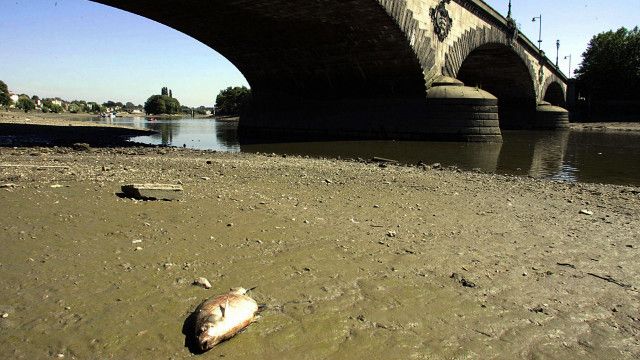 Londres: cómo el río Támesis fue rescatado de la muerte - BBC News Mundo