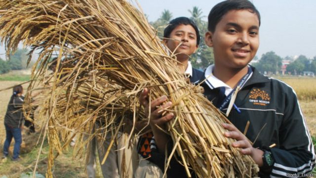 'जहाज ठीक नहीं कर पाया तो खेती करूंगा' - BBC News हिंदी