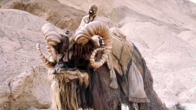 Os monstros de 'Guerra nas Estrelas' parecidos com animais da vida real ...