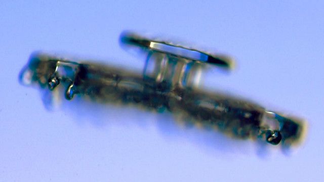 La espectacular belleza de los copos de nieve - BBC News Mundo