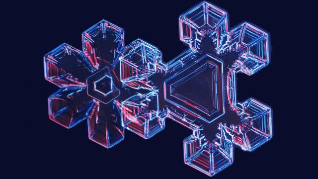 La espectacular belleza de los copos de nieve - BBC News Mundo