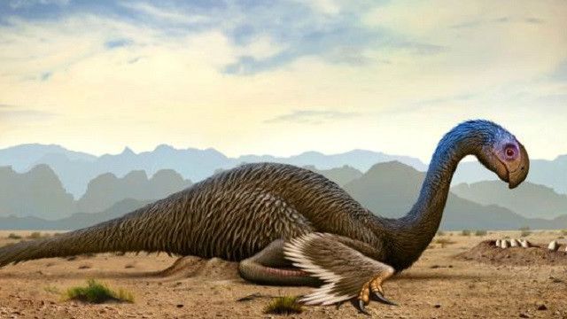 देखने में कैसे रहे होंगे असली डायनासोर? - BBC News हिंदी