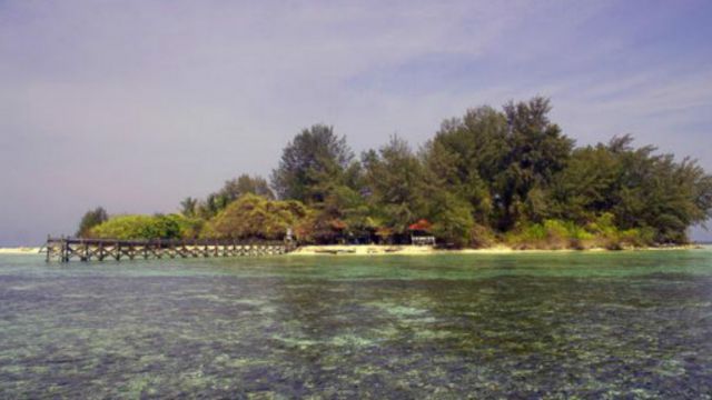 Sang penyelamat terumbu karang dari Pulau Cengkeh - BBC News Indonesia