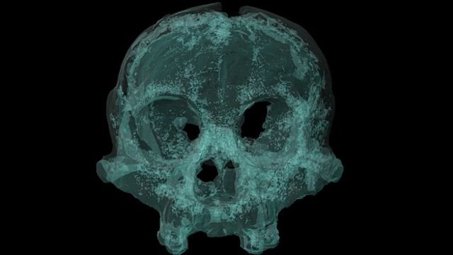 Ученые: древний "хоббит" не был человеком. Кем же тогда? - BBC News ...