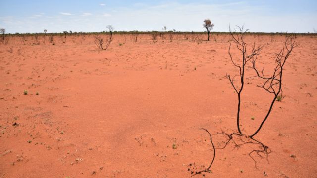 ¿Qué son los misteriosos "círculos de hadas" y qué tienen que ver con ...