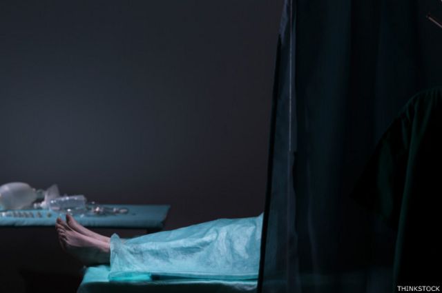 Reanima La Empresa Estadounidense Que Logró El Permiso Para Tratar De