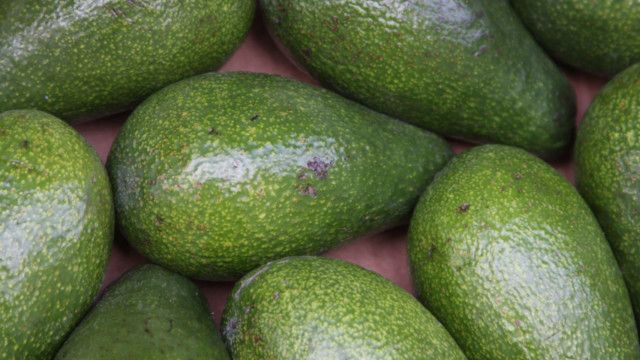 Pencurian kebun avokad meningkat di Selandia Baru - BBC News Indonesia