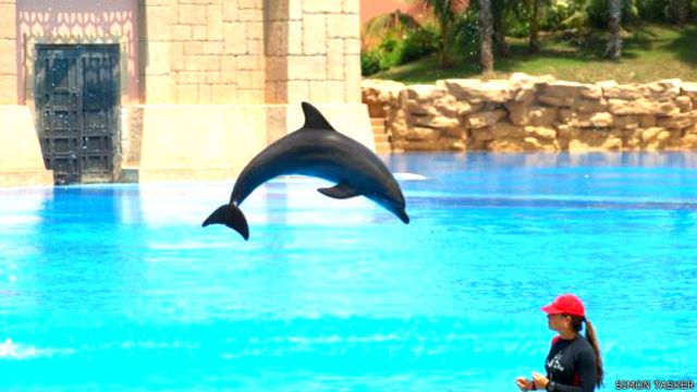 इन मेहराबों के नीचे से गुज़रकर तो देखें - BBC News हिंदी