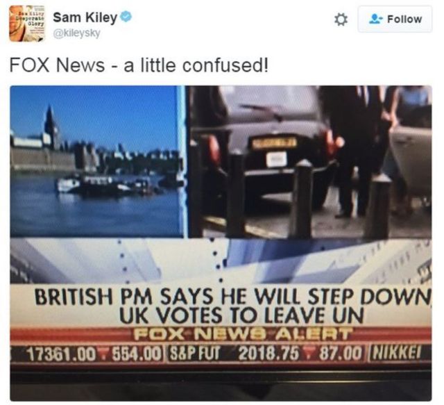 "Bagaimana saya beritahu kucing?" - Reaksi atas Brexit - BBC News Indonesia