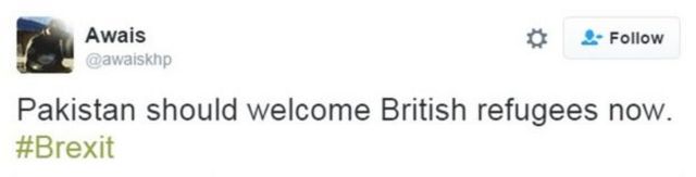 "Bagaimana saya beritahu kucing?" - Reaksi atas Brexit - BBC News Indonesia