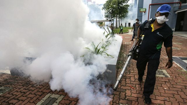 WHO: Virus Zika ‘amat mungkin’ menyebar ke seantero Asia - BBC News ...