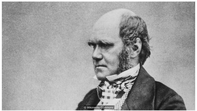 Berkepala botak ternyata ada faedahnya bagi pria - BBC News Indonesia