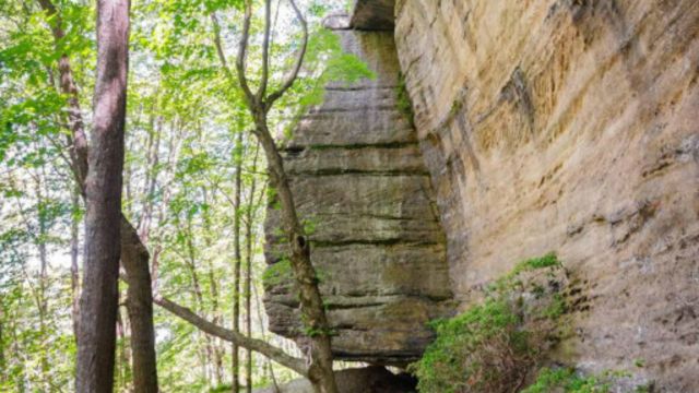 圖輯：被遺忘的優美秘境 - BBC 英伦网