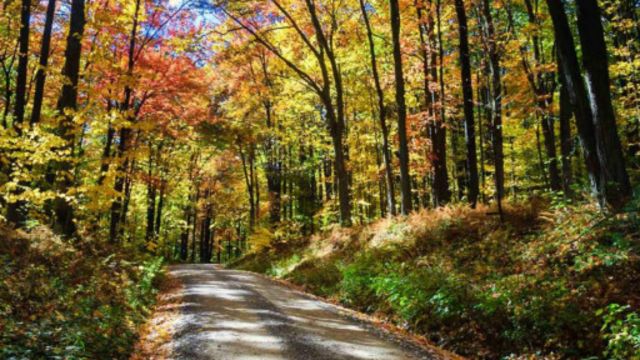 圖輯：被遺忘的優美秘境 - BBC 英伦网