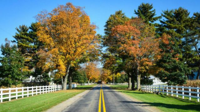 圖輯：被遺忘的優美秘境 - BBC 英伦网