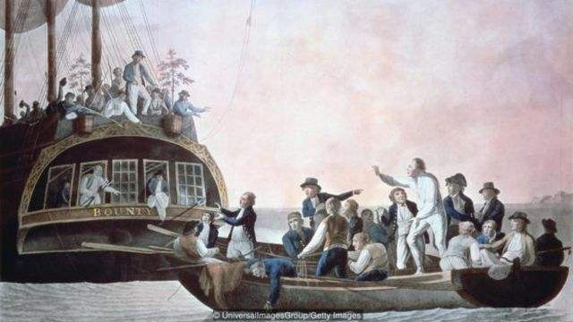 Bagaimana sukun jadi 'pohon kehidupan' yang memicu pemberontakan - BBC ...